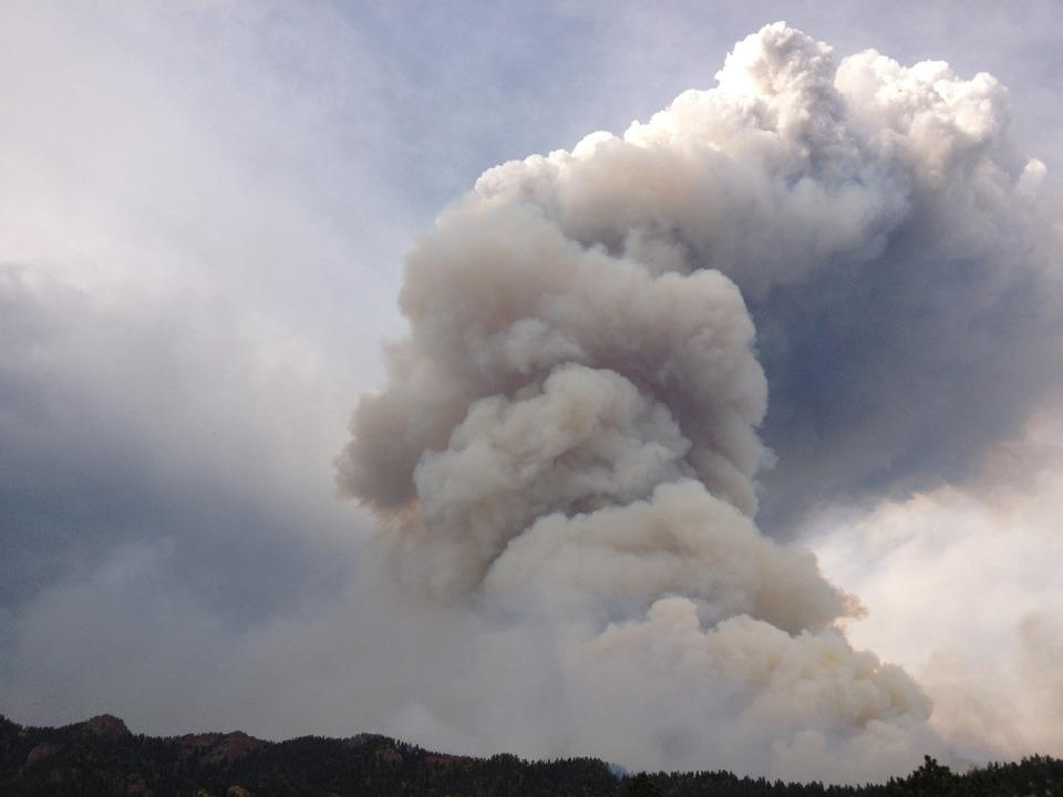 Simental Industries Ltd. History